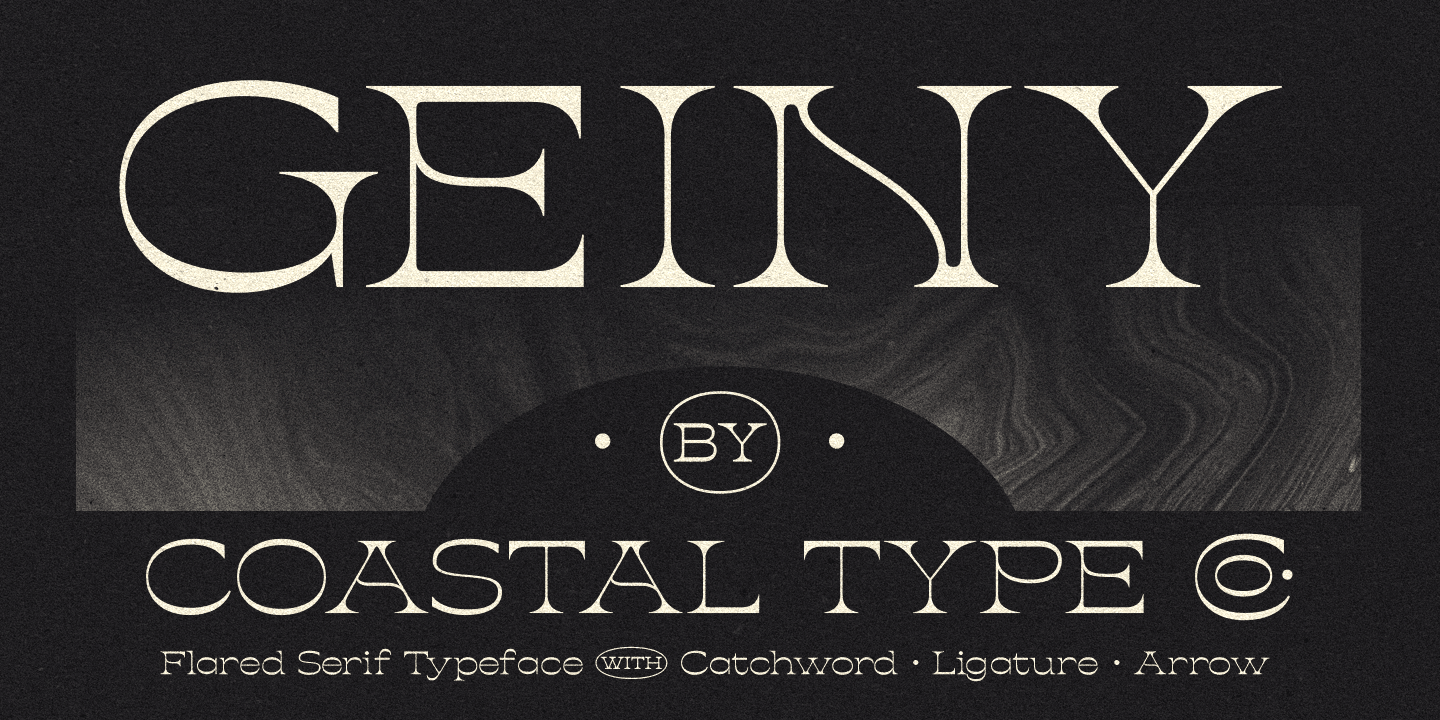Font Geiny – Download and Install for Your Website
