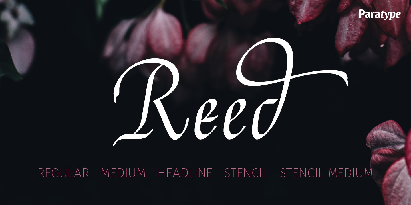 Font Reed – Download and Install for Your Website