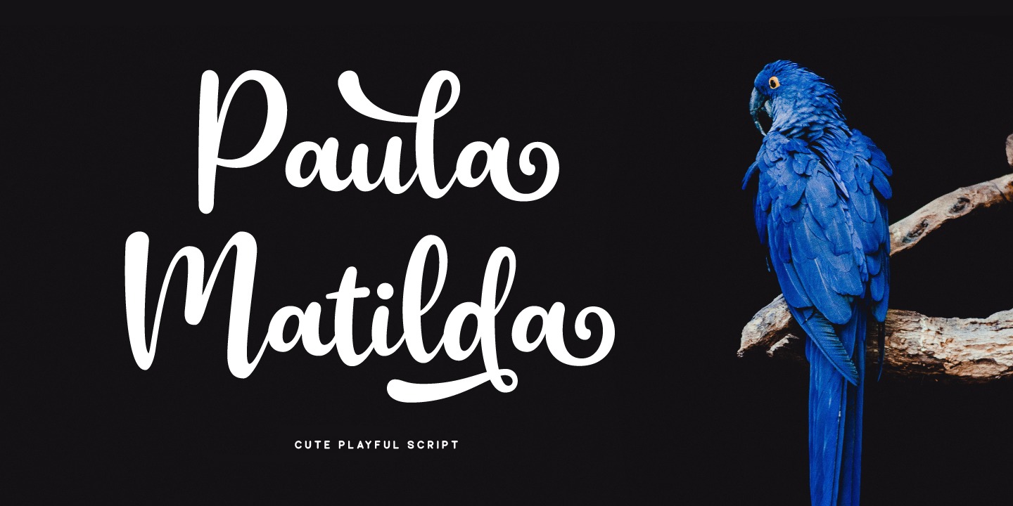 Font Paula Matilda – Download and Install for Your Website