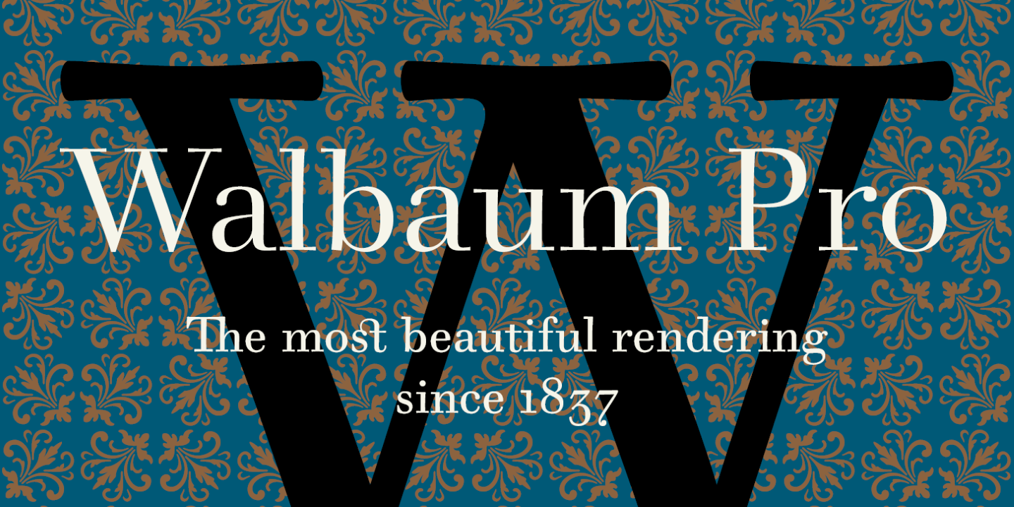 Font Walbaum 2010 Pro: download and install on the WEB site