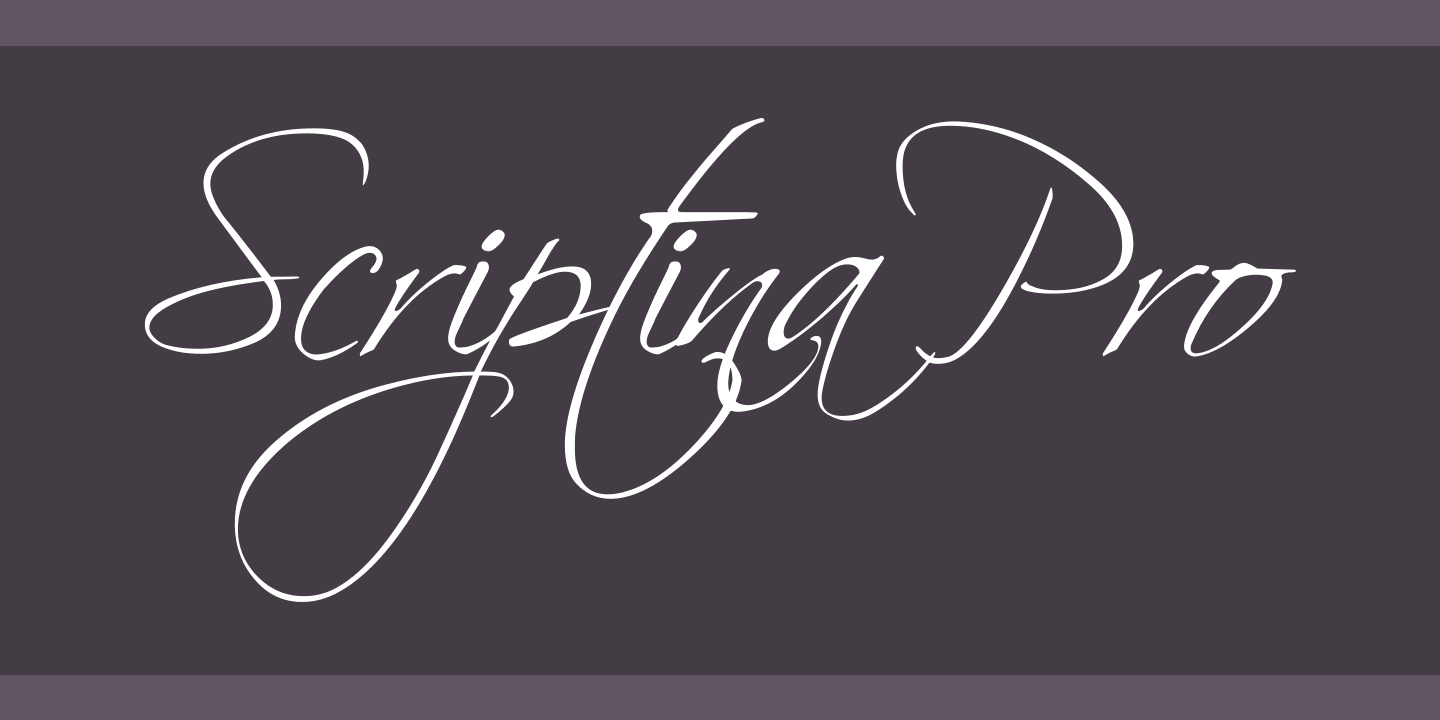 Font Scriptina Pro – Download and Install for Your Website